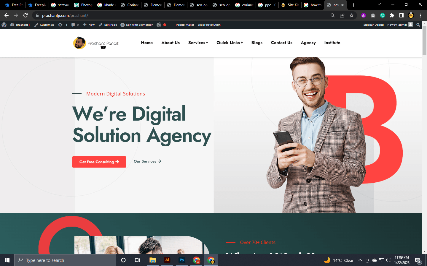 Website Designing Portfolio - Prashantji Services